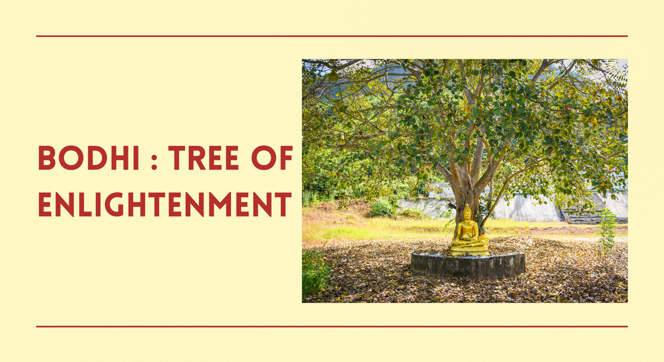 Bodhi Tree and Its Significance – Himalayas Shop